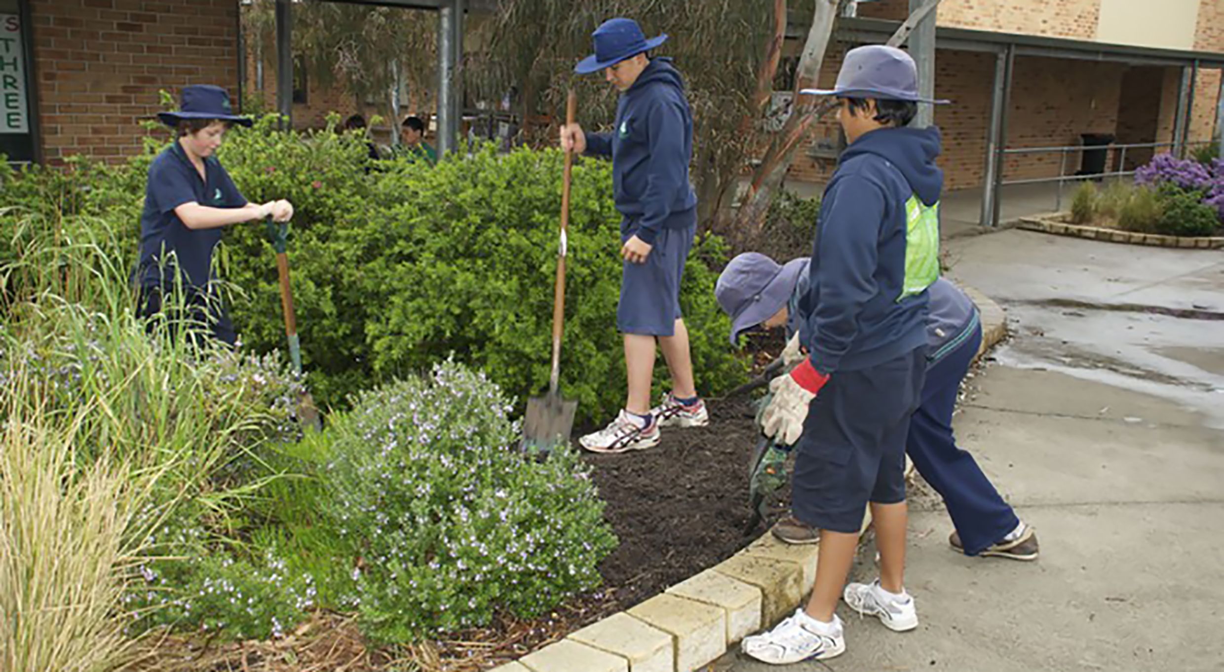 Aspendale Gardens Primary School - K2LD